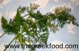 Greek Herbs and spices used in Greek Recipes | The Greek Food
